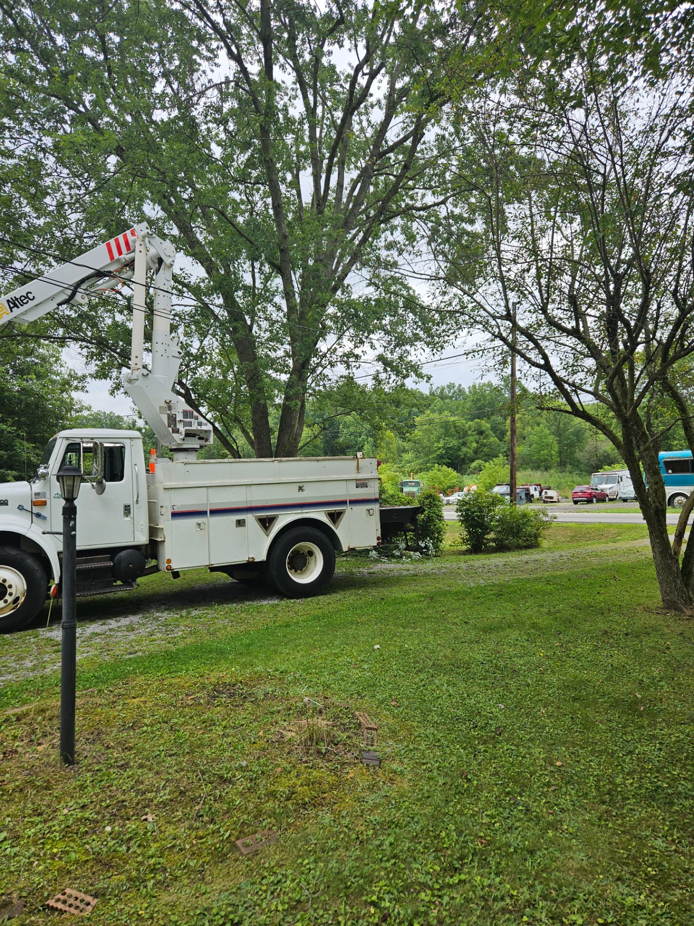 Anderson Tree Service | Tree Removal & Trimming OH